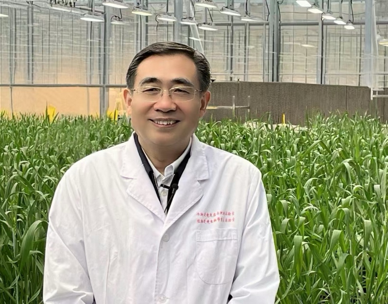 Chun-Peng SONG-作物逆境适应与改良国家重点实验室